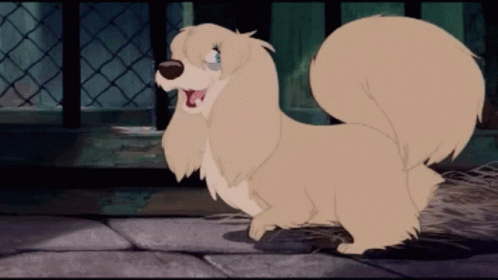 Lady And The Tramp 498 X 280 Gif GIF | GIFDB.com