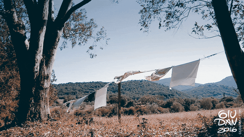 Laundry Blown By Wind GIF | GIFDB.com