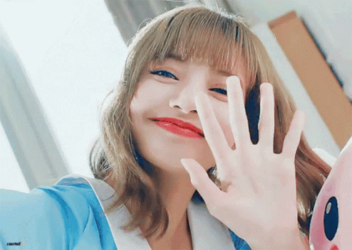 Lisa Of Blackpink Waving To The Fans GIF | GIFDB.com
