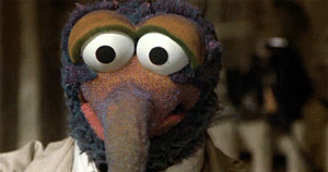 Look Away Gonzo Muppet GIF | GIFDB.com