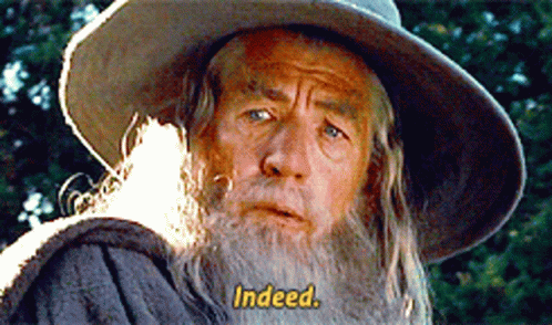Lord Of The Rings Gandalf Indeed GIF | GIFDB.com