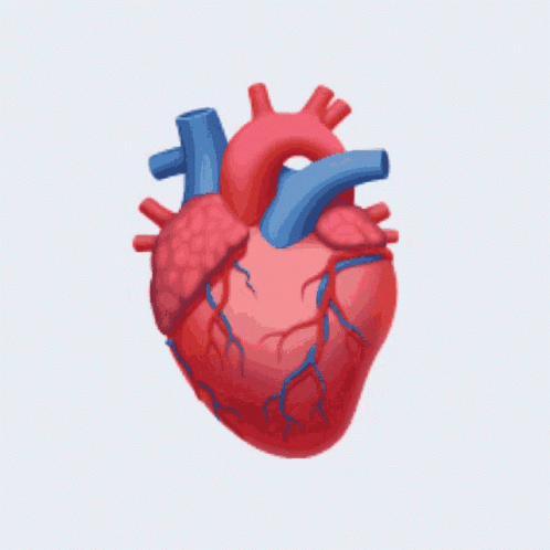 Love Emoji Heart Organ Beating GIF | GIFDB.com