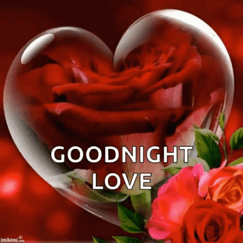 Love Good Night Rose GIF | GIFDB.com