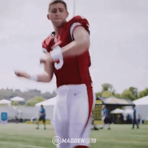 Madden Football Player Josh Josen Hammer GIF | GIFDB.com