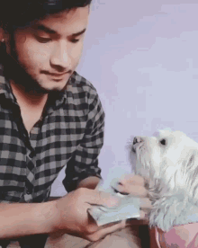 Man Counting Money With Dog GIF | GIFDB.com
