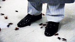Man Stomping Cockroaches GIF | GIFDB.com