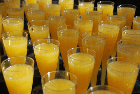 Mimosa Glasses GIF | GIFDB.com