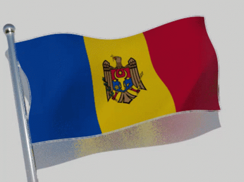 Minimalist Moldova National Flag GIF | GIFDB.com