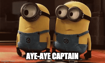 Minions Saying Aye Aye Captain GIF | GIFDB.com