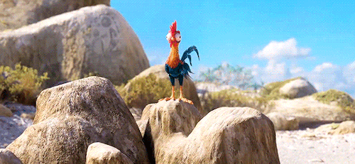 Moana Hei Hei The Rooster GIF | GIFDB.com