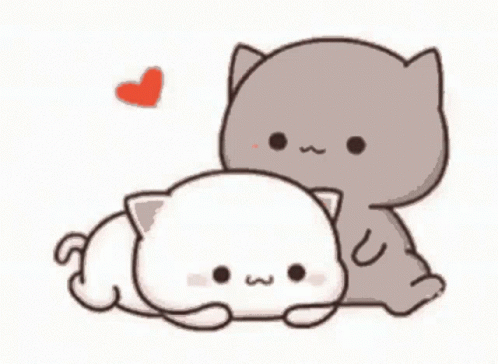 Mochi Cat Stickers Snuggling GIF | GIFDB.com