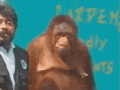 Monkey Magic Trick GIF | GIFDB.com