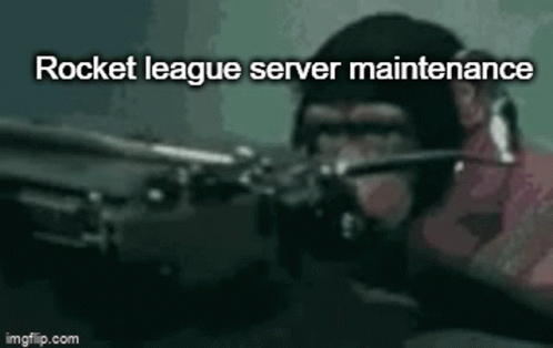 Monkey Typing Work Double Time GIF | GIFDB.com