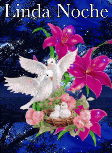 Mother Bird And Babies Linda Noche GIF | GIFDB.com