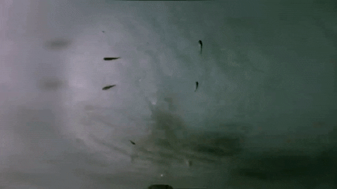 Nuclear Explosion Aircraft Underwater GIF | GIFDB.com