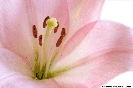 Offering Sincere Condolences On Your Loss GIF | GIFDB.com