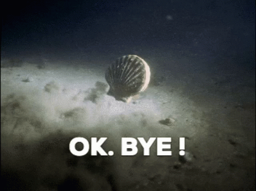 Ok Bye Shell Ocean Running Away GIF | GIFDB.com