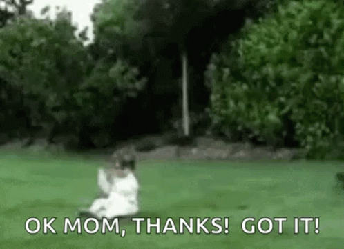 Ok Mom Thanks Got It GIF | GIFDB.com