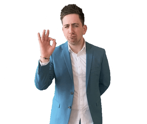 Okay Sign In Italian Hand GIF | GIFDB.com