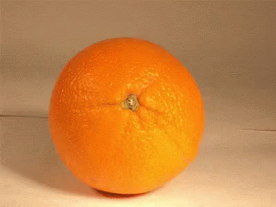 Orange Fruit Peel Montage GIF | GIFDB.com