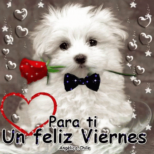 Para Ti Un Feliz Viernes GIF | GIFDB.com