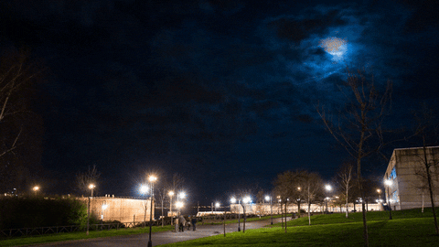 Park Cinematic Night Loop GIF | GIFDB.com