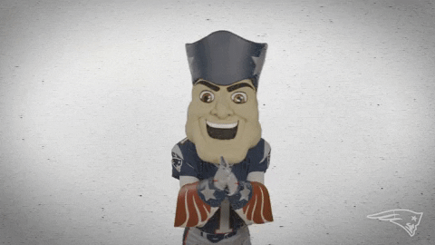 Patriots Mascot Pat Patriot Birdman Hand Rub GIF | GIFDB.com