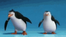 Penguins Of Madagascar Cute Dance Clap GIF | GIFDB.com