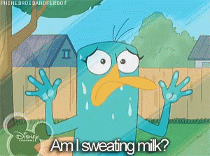 Perry The Platypus Am I Sweating Milk GIF | GIFDB.com