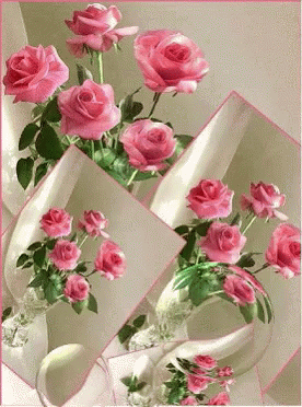 Pink Rose Bouquet GIF | GIFDB.com