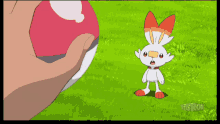 Pokemon Scorbunny Catch Cute Rabbit GIF | GIFDB.com