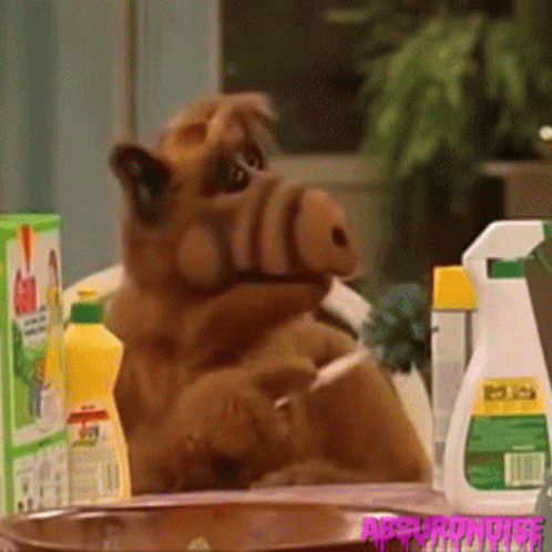 Puppet Animal Cleaning & Getting Busy GIF | GIFDB.com