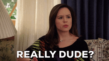Really Dude? GIF | GIFDB.com