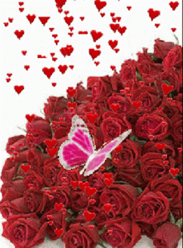 Red Flores Flower For Her GIF | GIFDB.com