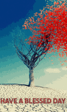 Red Heart Tree Have A Blessed Day GIF | GIFDB.com