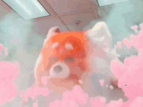 Red Panda Mei Awkward Smile GIF | GIFDB.com