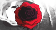 Red Rose Blood Anime Death Flower GIF | GIFDB.com