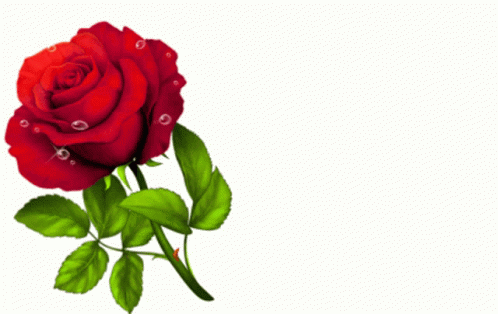 Red Rose Sparkling GIF | GIFDB.com