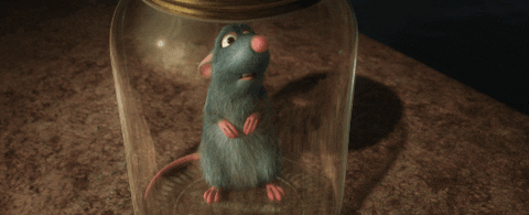 Remy Inside A Jar Ratatouille GIF | GIFDB.com