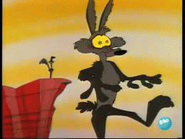 Road Runner Wile E. Coyote GIF | GIFDB.com