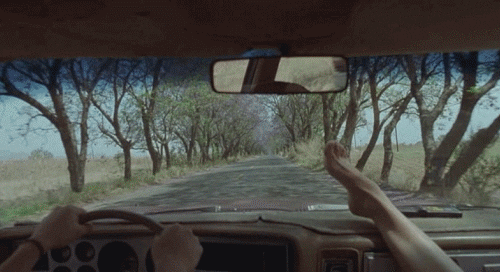 Road Trip Travel GIF | GIFDB.com
