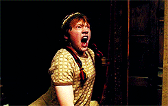 Ron Weasley Angry Scream GIF | GIFDB.com
