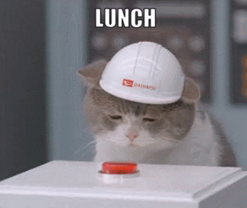 Sad Hungry Cat Lunch Time Button GIF | GIFDB.com