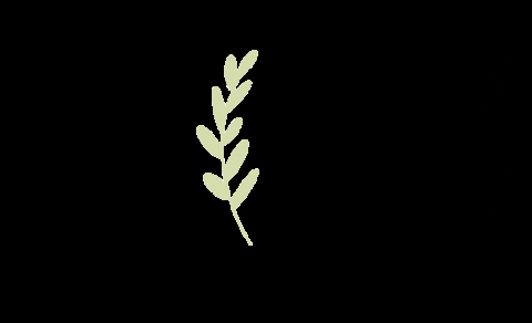 Sage Green Plant Leaf GIF | GIFDB.com