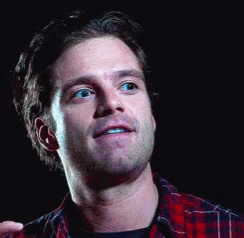 Sebastian Stan Intense Stare GIF | GIFDB.com