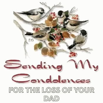 Sending My Condolences Loss Of Your Dad GIF | GIFDB.com