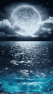 Serene Ocean Wallpaper GIF | GIFDB.com