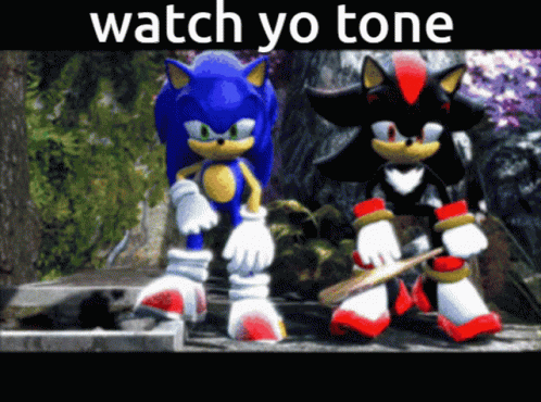 Shadow The Hedgehog Sonic Slap GIF | GIFDB.com