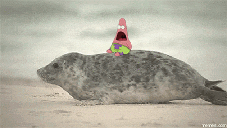 Shocked Patrick Star On The Seal GIF | GIFDB.com