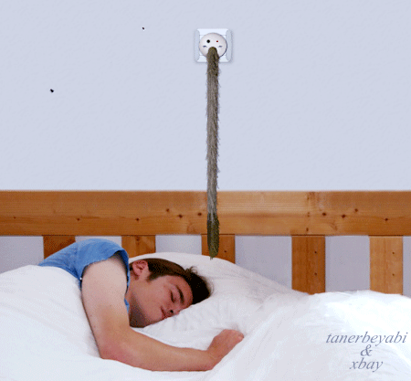 Shooing Insect Tail GIF | GIFDB.com